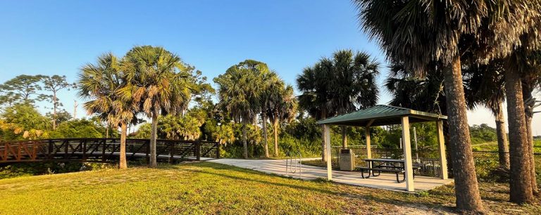 Amenities | Bell Tower Park Property Owners' Association